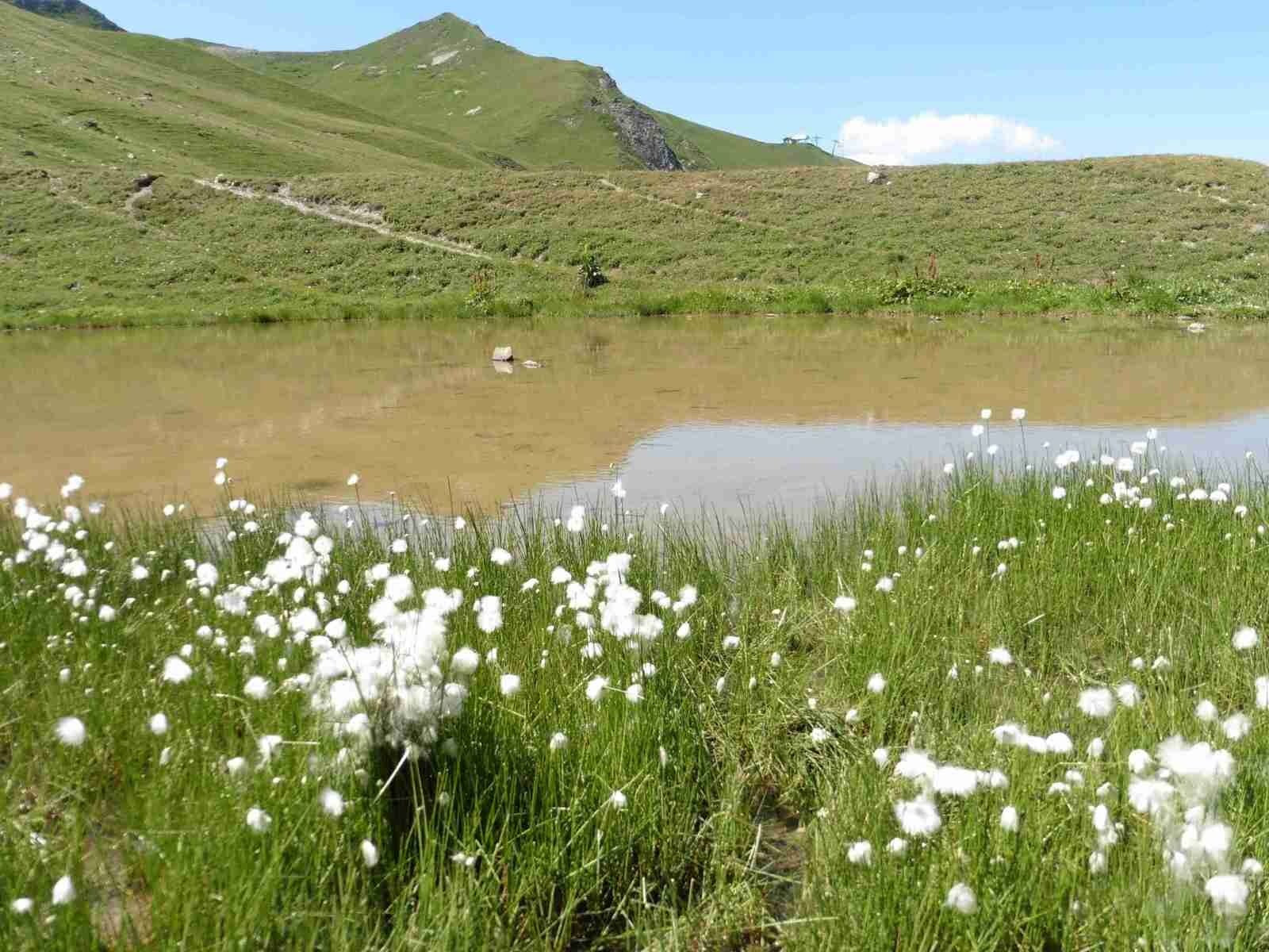 La Grande Rochette (2508 m.). - Le blog de Roger randonneur savoyard