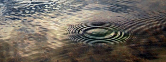 Ondes progressives. Grandeurs physiques associées.Retard.