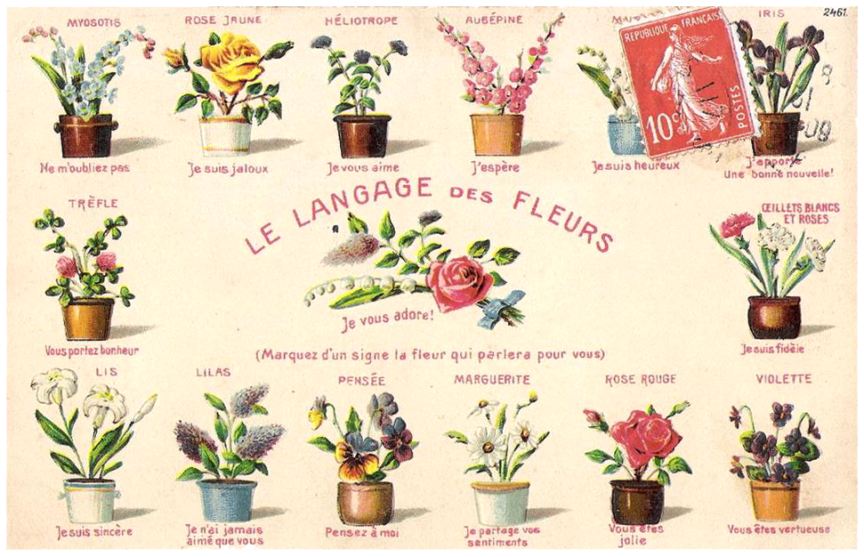 Signification et langage des fleurs - Fahtia Nasr Art Scrapbooking et ...