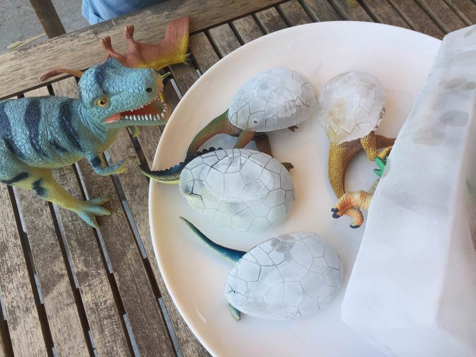 [activité] Des Oeufs De Dinosaures Glaçons Séveiller Et Sépanouir