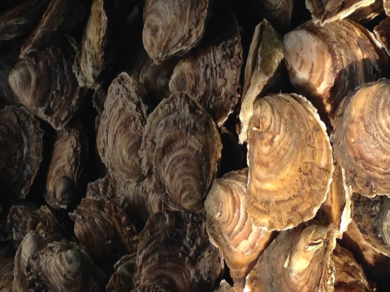 BRETAGNE, CARNET DE VOYAGE - Jean-Michel Bardet, un cuisinier inspiré ...