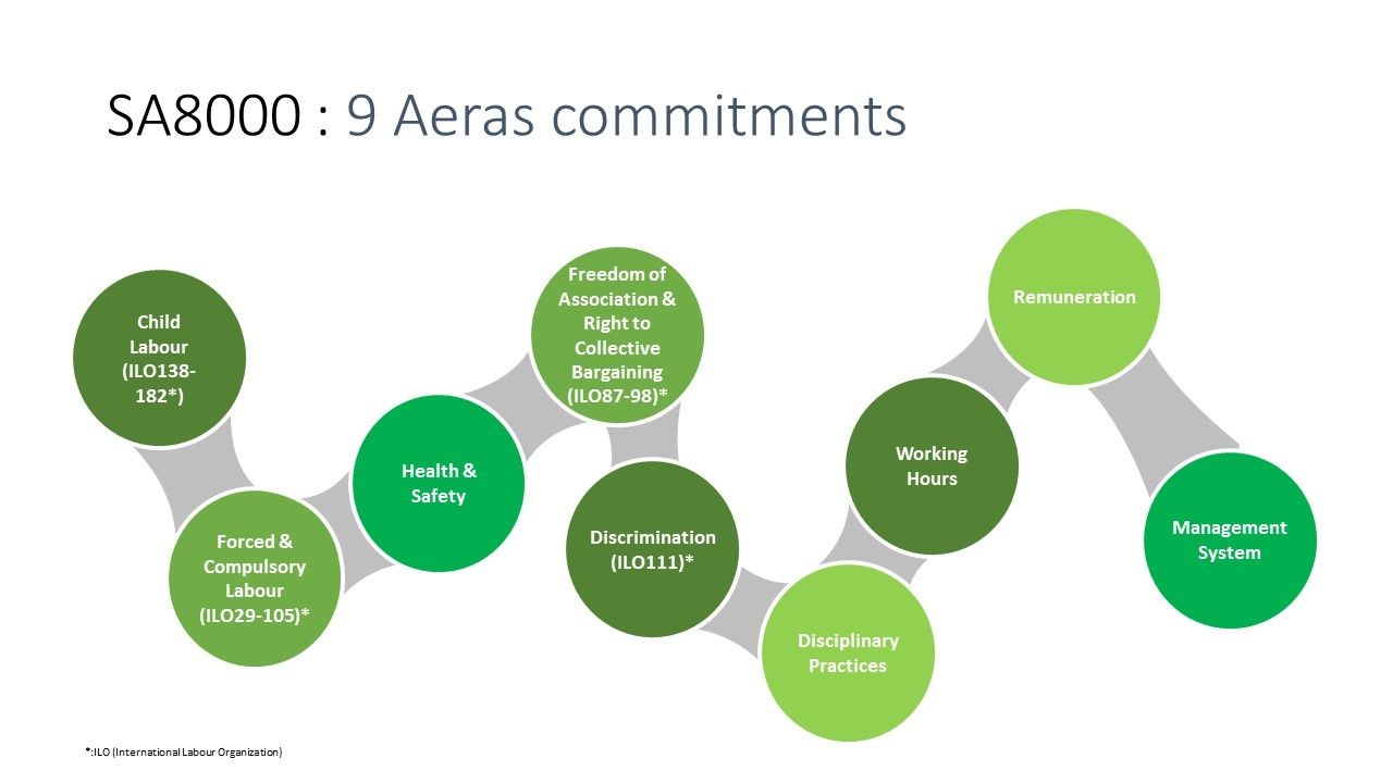 La SA800 : Cette belle inconnue qui vit au Sud - Performance Achats RSE