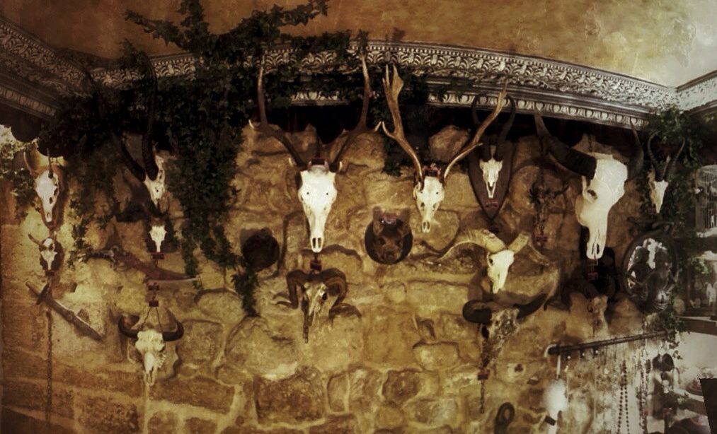 Mur des trophées - Edemonium: bijoux, curiosités, créations sombres et ...