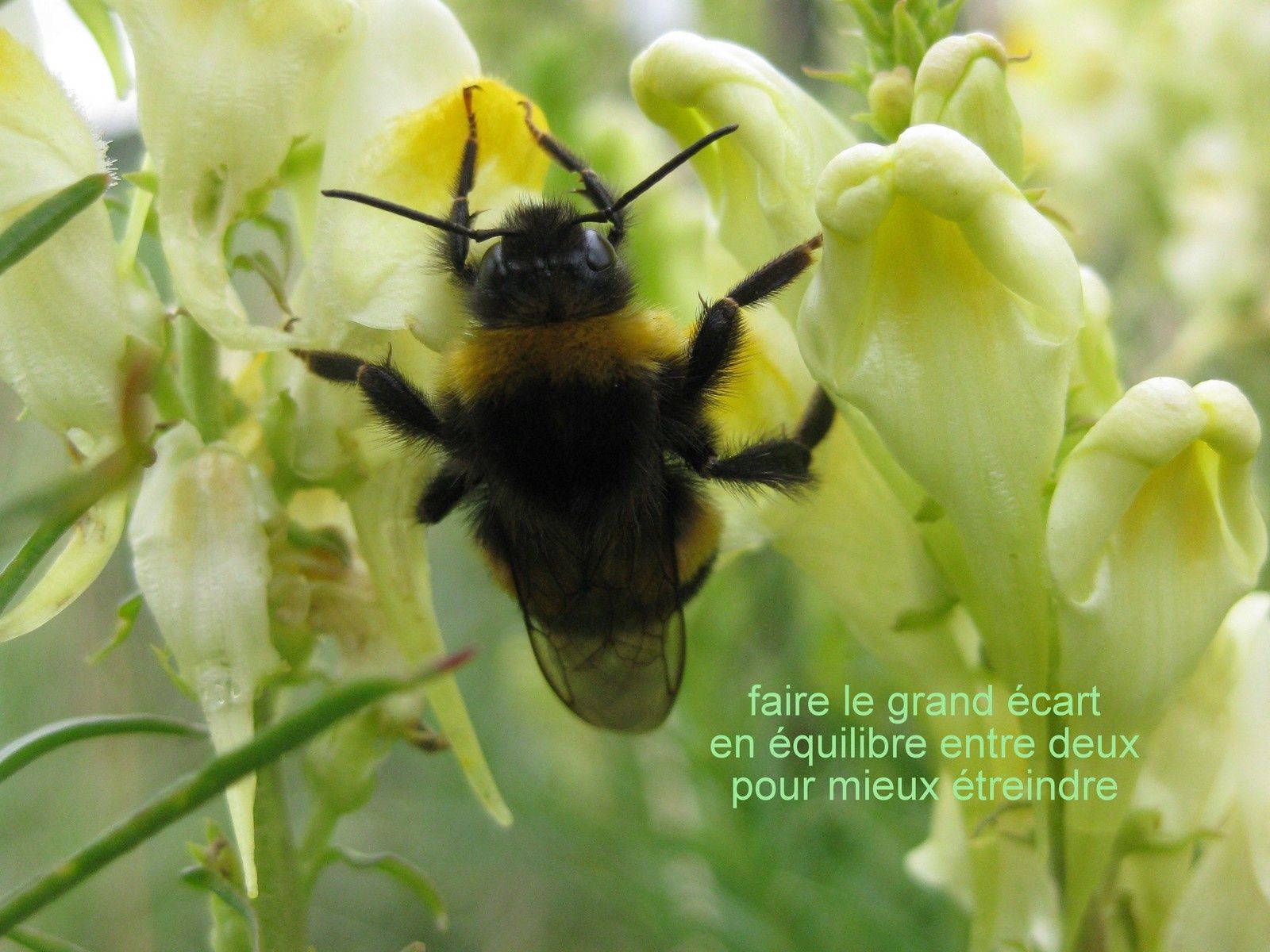 grand écart - imagesetmots.over-blog.com