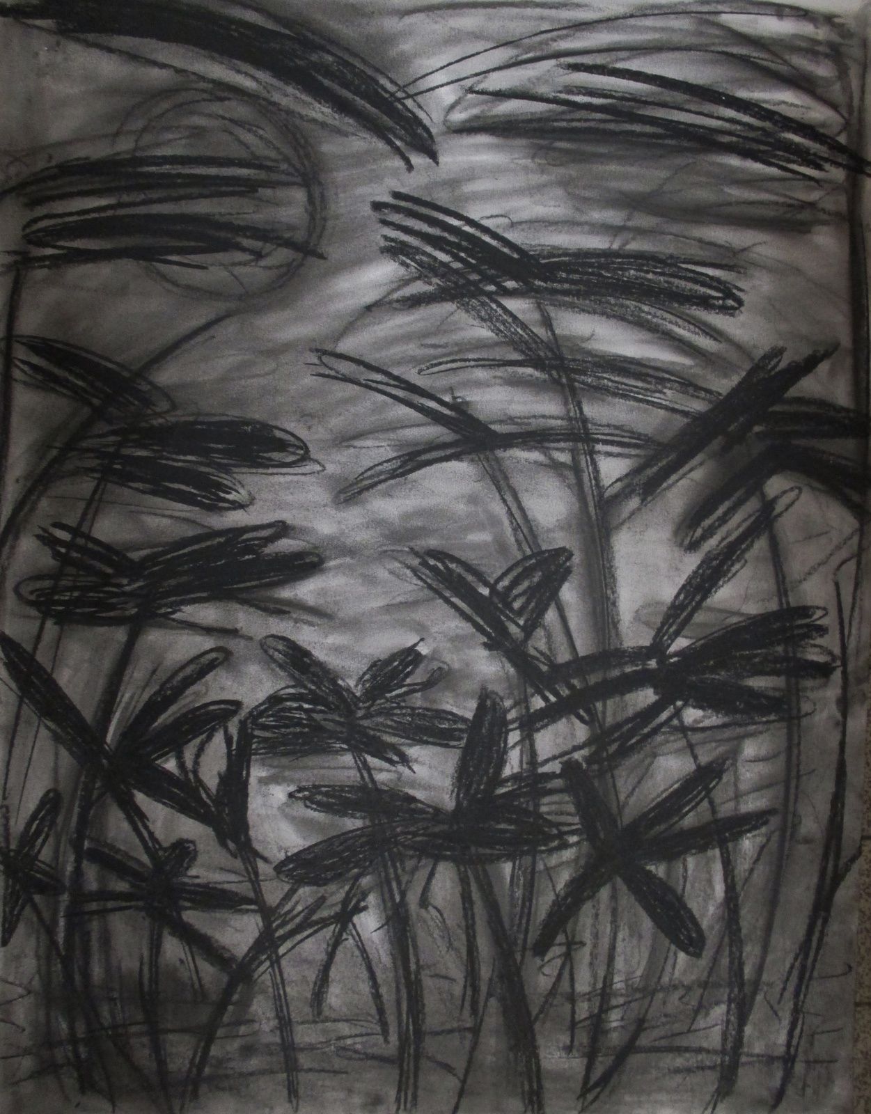 DU FUSAIN DANS MA FORET... - Le blog de artsplastiquesprovence.over ...