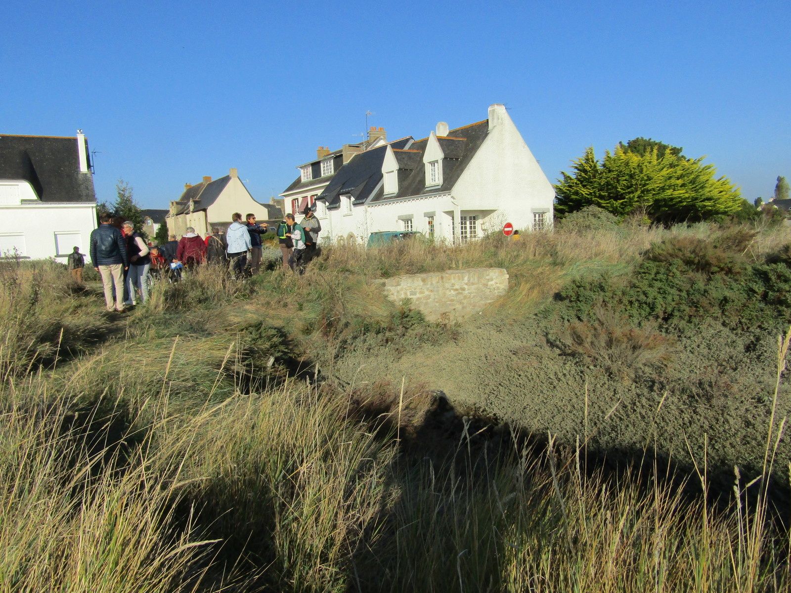 Photos de la visite à Saillé ( suite ) - Histoire et Culture en Région ...