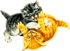 Chatons - Jeux - Gif animé - Gratuit - Le Monde des Gifs