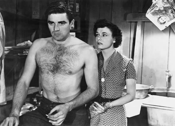 Cochran Steve - Mémoires de Guerre