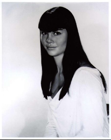 Wagner Wende - Mémoires de Guerre