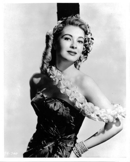 Nelson Lori - Mémoires de Guerre