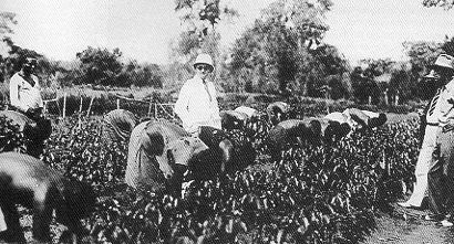 Runyota et Inamuvyeyi: histoire d'un chevalier du roi et d'une faiseuse ...