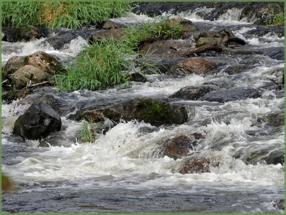 Pont de l'Ognon... - La nature en photos... le plaisir d'admirer les ...