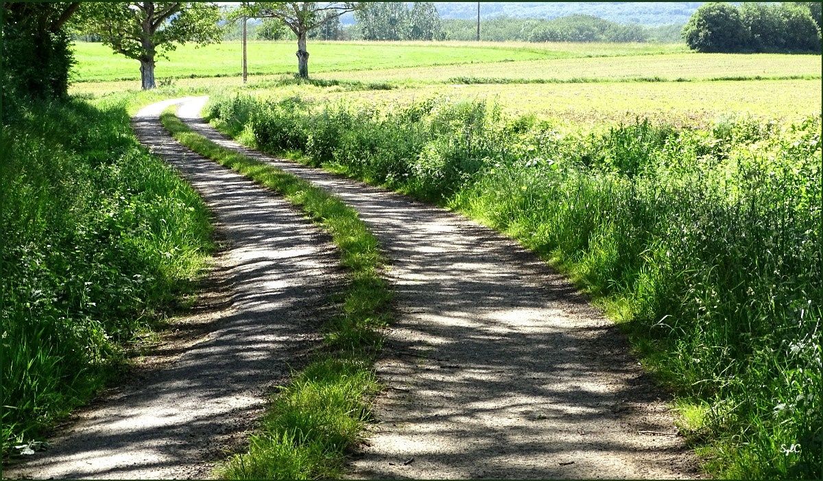 Sentier, chemin, route... (5 photos) - La nature en photos... le ...