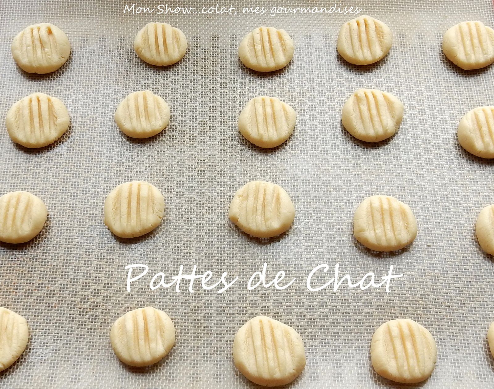 Pattes de Chat (petits gâteaux) - Mon Show...colat, mes gourmandises