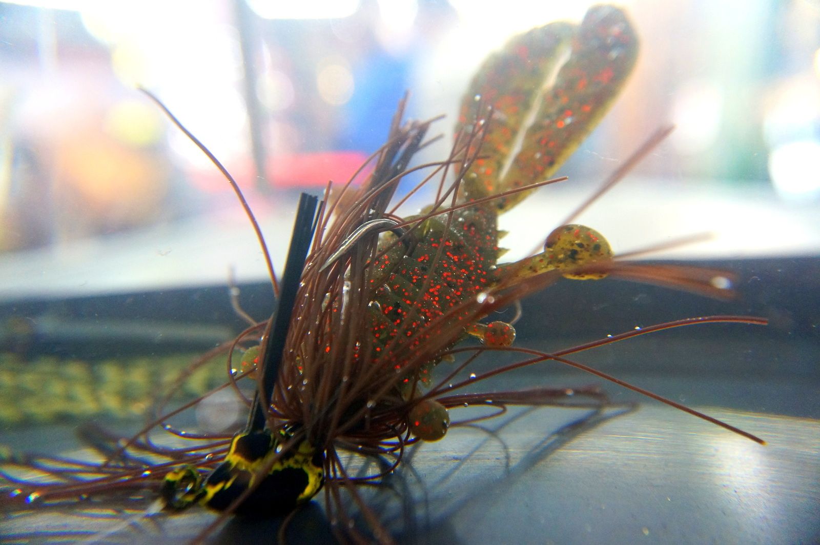 Clap de fin - Carna-Passion