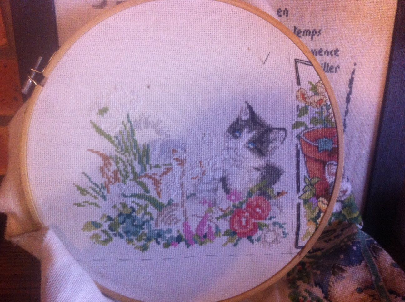 SAL "FOUR SEASONS KITTEN" - ETE Avancée 6 - BIENVENUE CHEZ NOUNETTE