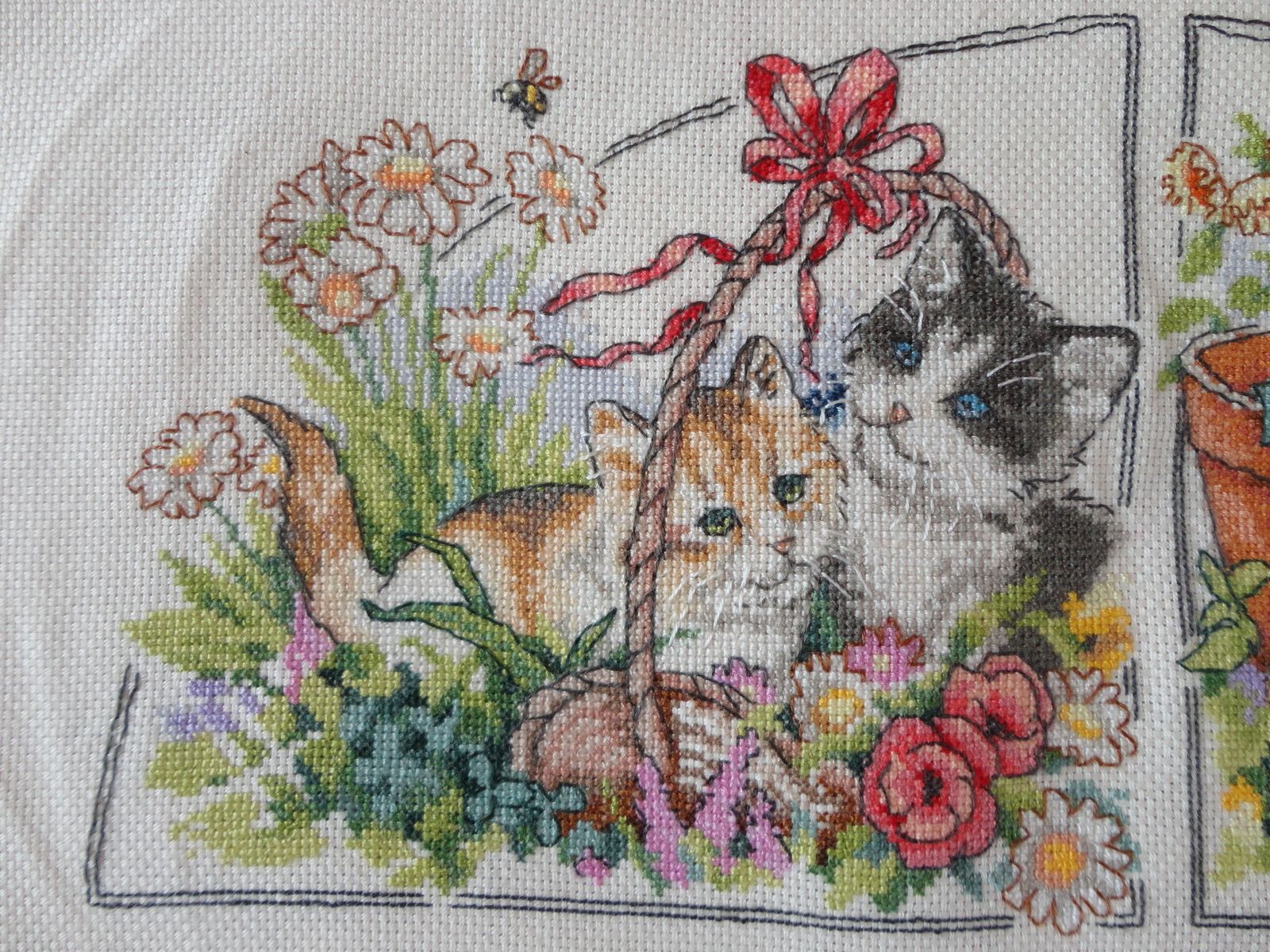 SAL "FOUR SEASONS KITTEN" - ETE Avancée 6 - BIENVENUE CHEZ NOUNETTE