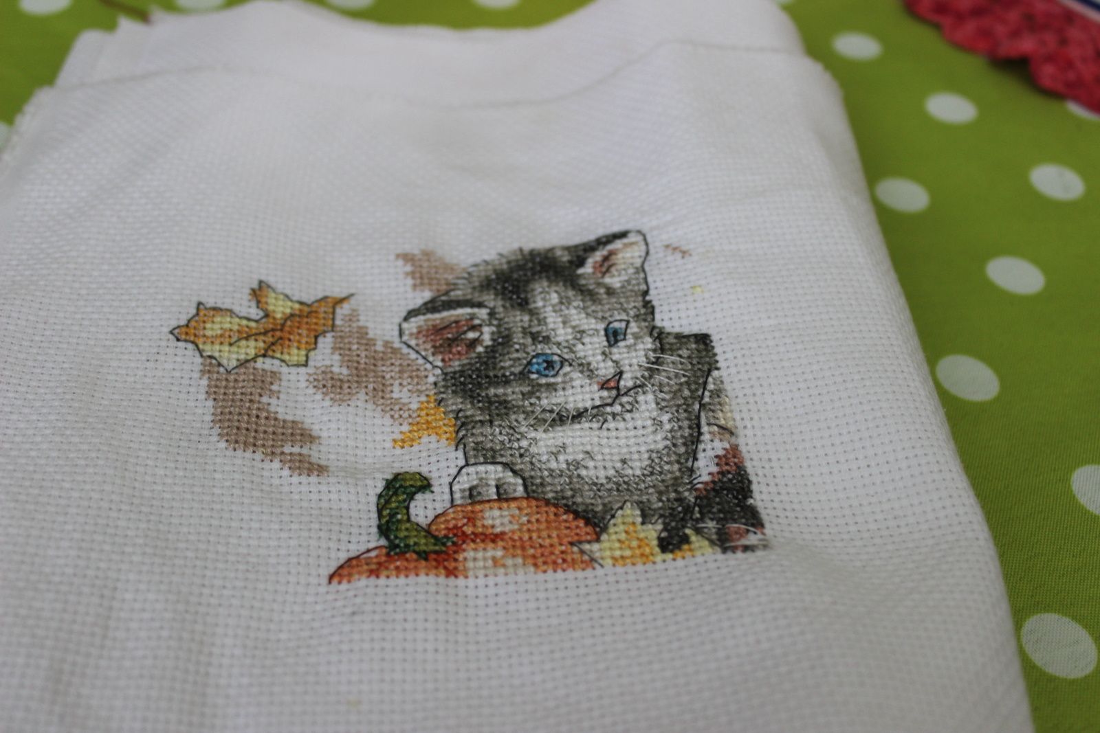 SAL "FOUR SEASONS KITTEN" - 1ère avancée AUTOMNE - BIENVENUE CHEZ NOUNETTE