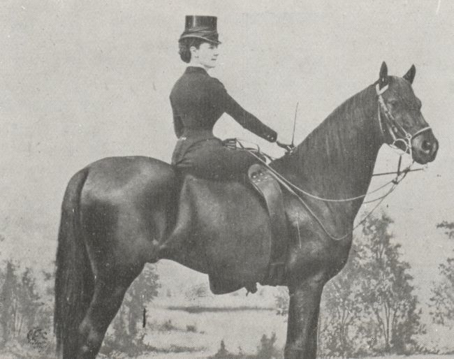 Une écuyère amazone de haute école : Elisa Petzold - Equitation monte en amazone