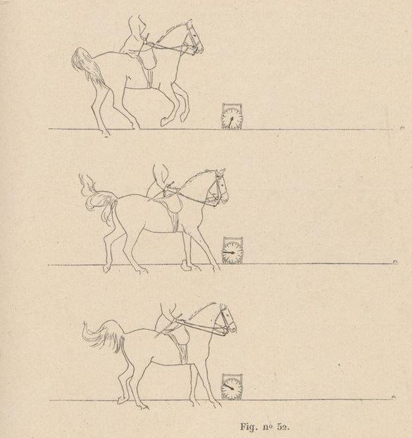 Equitation en amazone : Thérèse Renz ou Rentz - Equitation monte en amazone