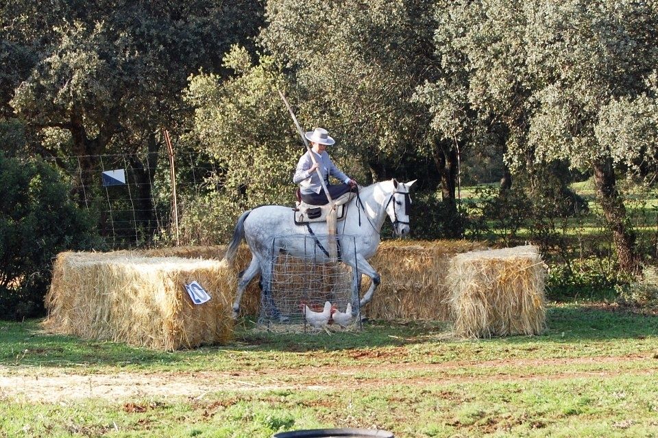 Doma vaquera en amazone - Equitation monte en amazone