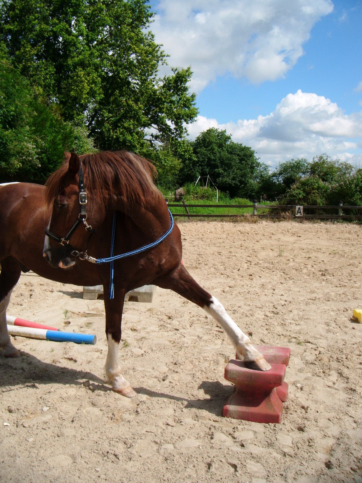 le sabot sur le sablot! - Equitation monte en amazone