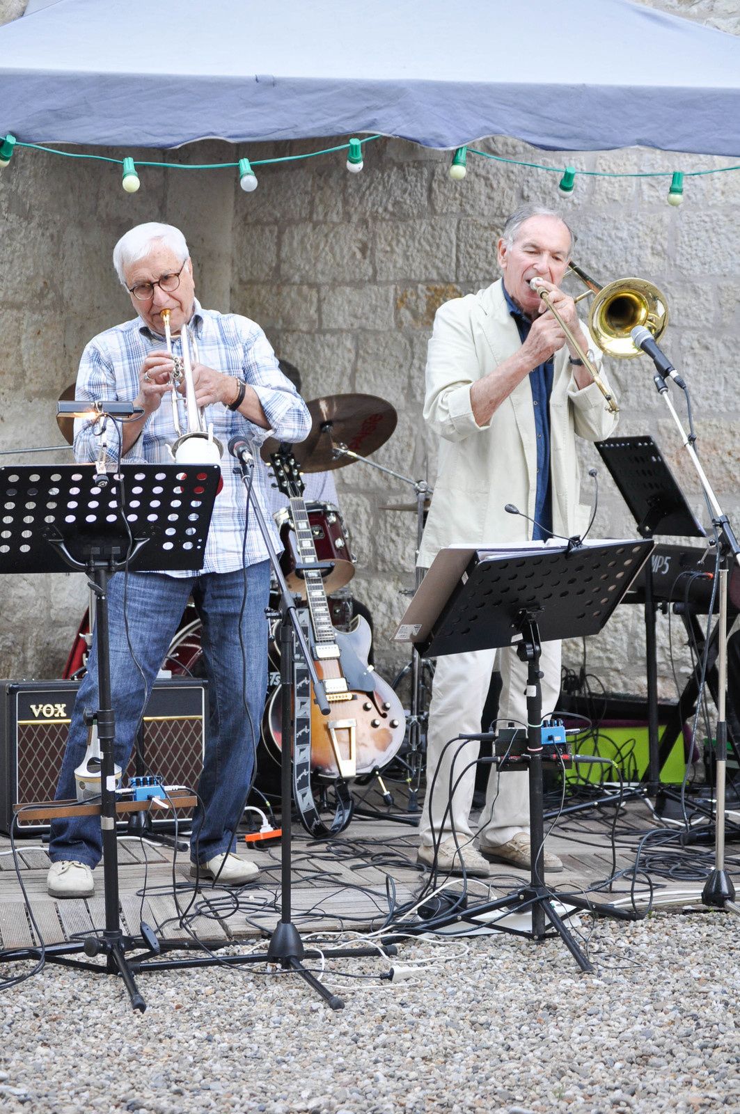 Tournon d'Agenais : Soirée caritative pour les « Amis des chats ...