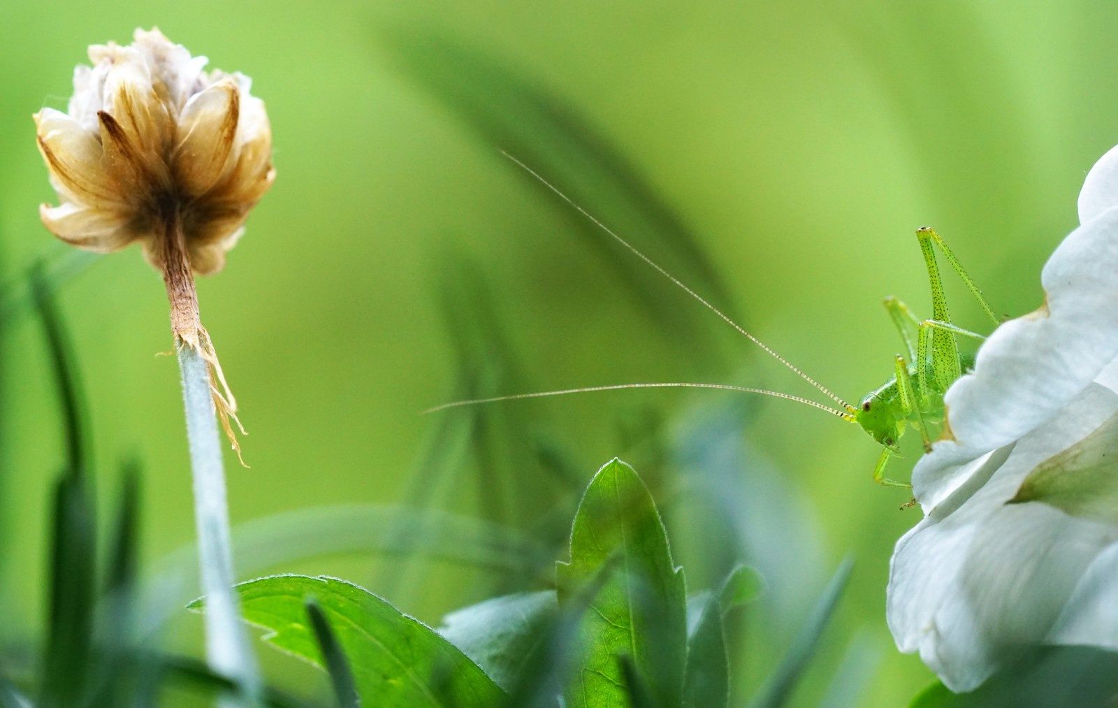 Bravo aux gagnants du concours photos d'Igny ! - Écolo at Home, le blog de la Coccinelle à 7 points
