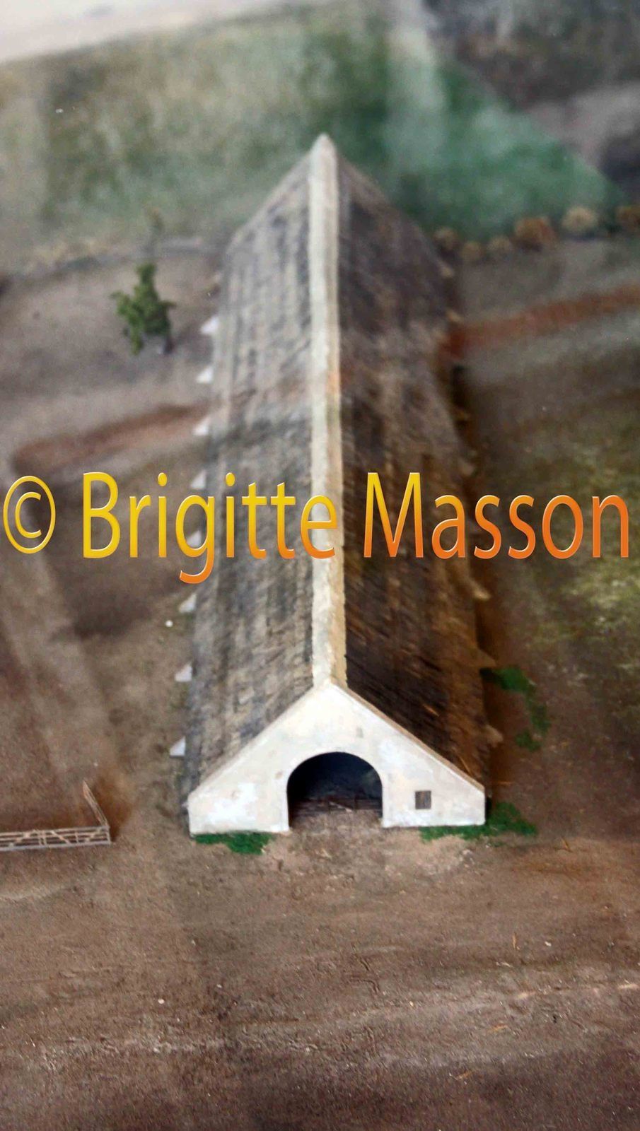 Musée de la Camargue - Pont de Rousty - Moustique - Les marchandes de ...