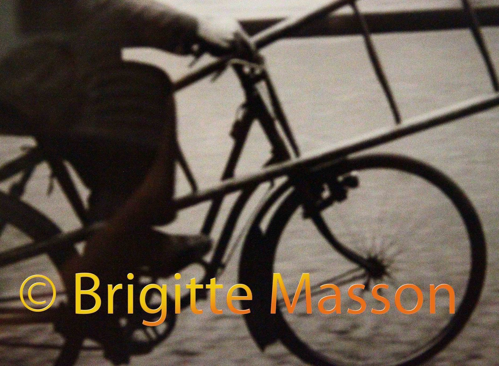 Alfred Latour - Musée Réattu - Arles - Brigitte Masson