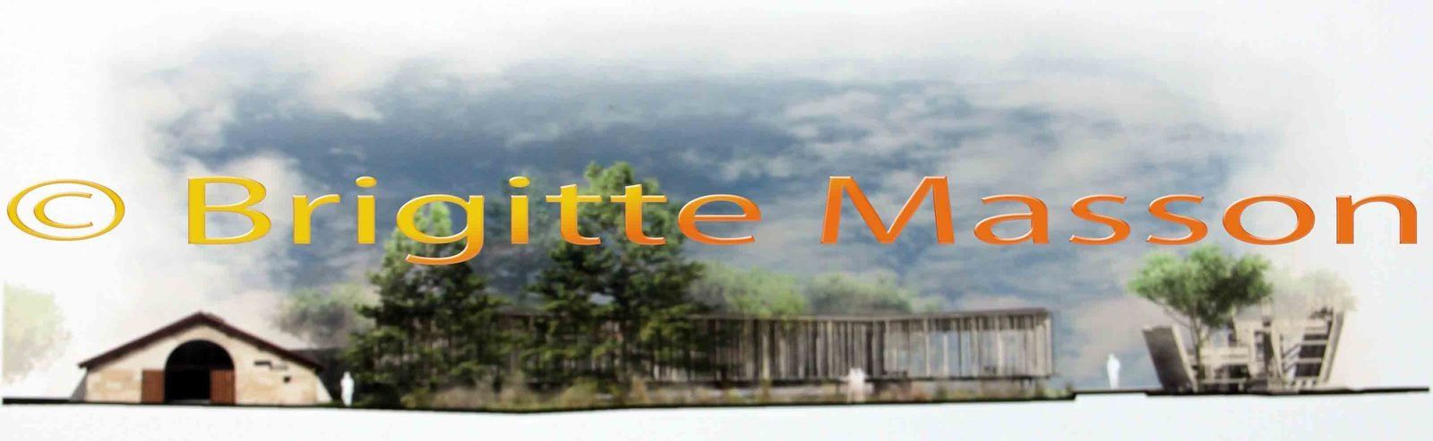 Musée de la Camargue - Pont de Rousty - Moustique - Les marchandes de ...