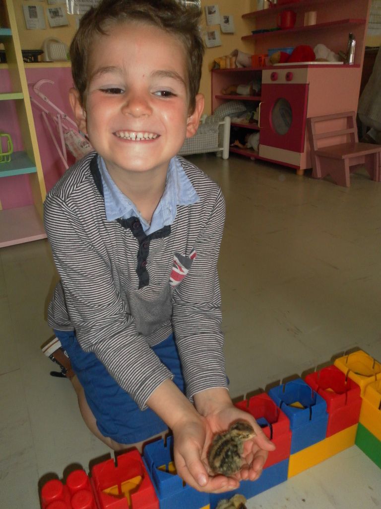 Un petit élevage en classe... - Ecole Ste Geneviève Astaffort