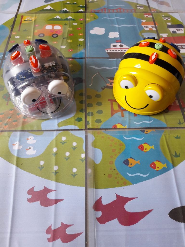 Initiation à la programmation avec les Bee-Bot et Blue-Bot - Ecole Ste Geneviève Astaffort