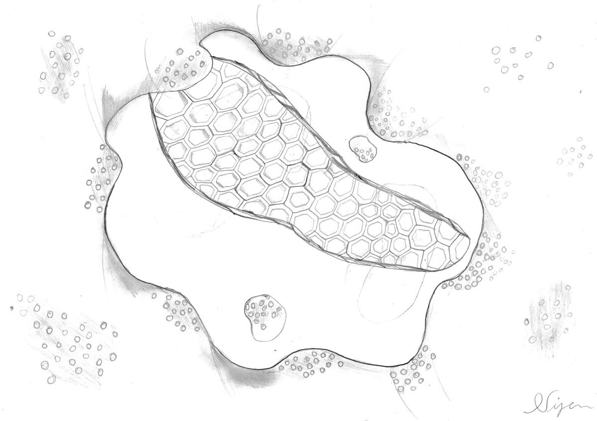 Peau parcheminée III / Parchment skin III - L'univers de Karma / The ...