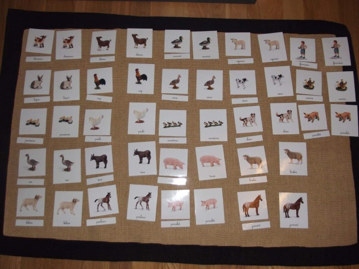 Les animaux de la ferme - Les ateliers de Céleste