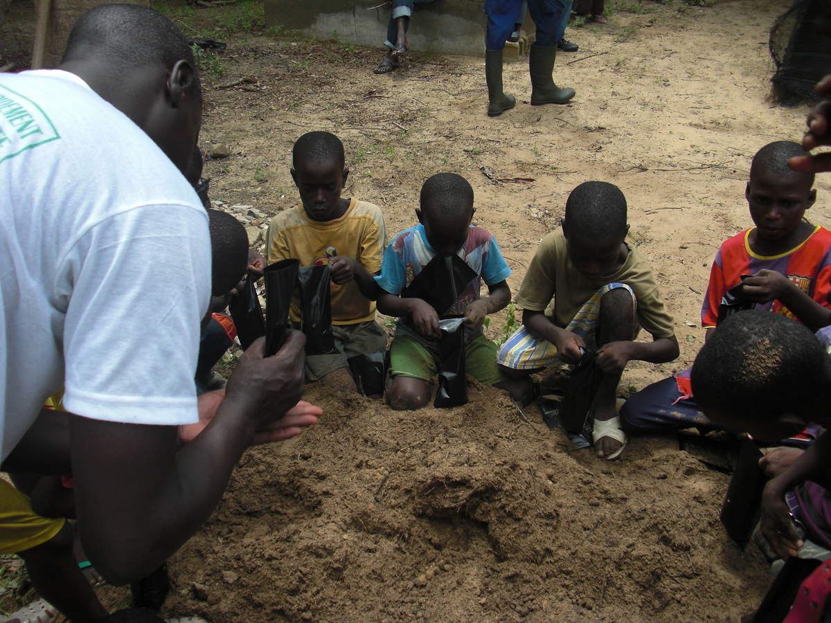 keur mbaye fall - From Angers to Dakar