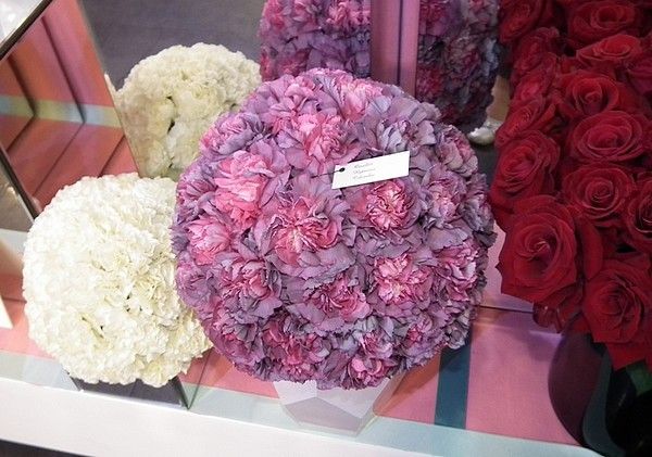 Hier à Novafleur.... - Le blog de vava