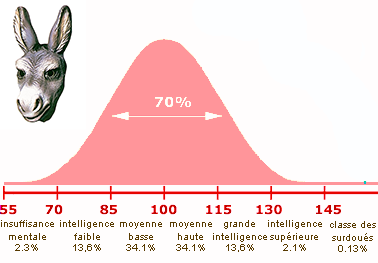 Le Quotient Intellectuel diminue à cause de notre mode de vie - Le ...