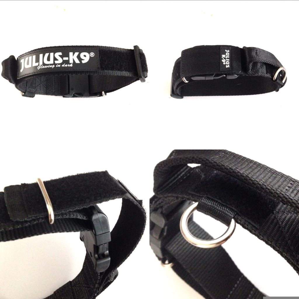 Collier d'intervention avec poignée en nylon Julius-K9 - IronJetest