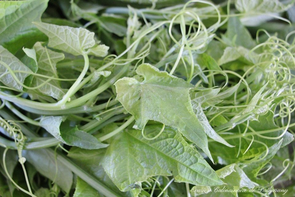 Tout est bon dans le chouchou ! - Evasion Culinaire de Datharany