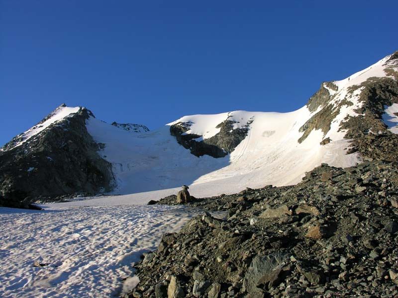Mont Pourri (3779m) par le Col des Roches - RANDONNEES SPORTIVES