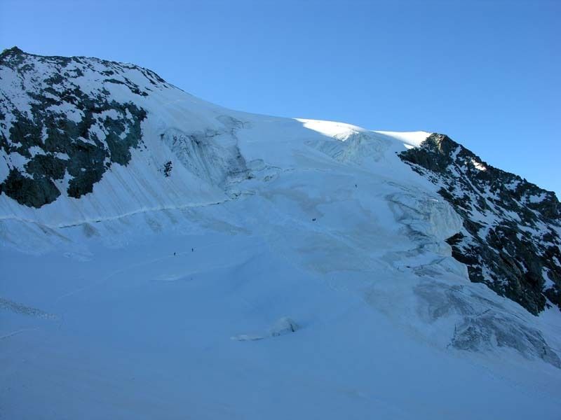 Mont Pourri (3779m) par le Col des Roches - RANDONNEES SPORTIVES
