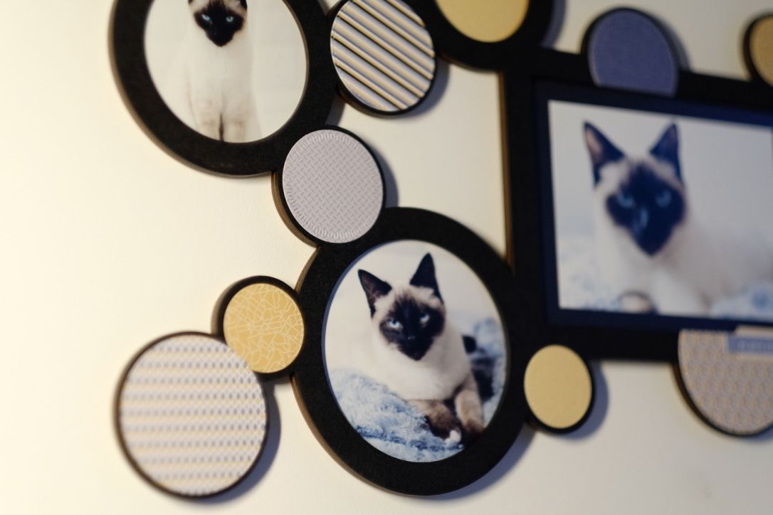 Lydie - Nouveau cadre - Le blog de la boutique Fée du Scrap spécialisée ...