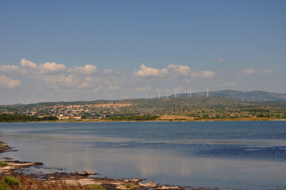 roche et plume dans l'eau du lac - Autour de