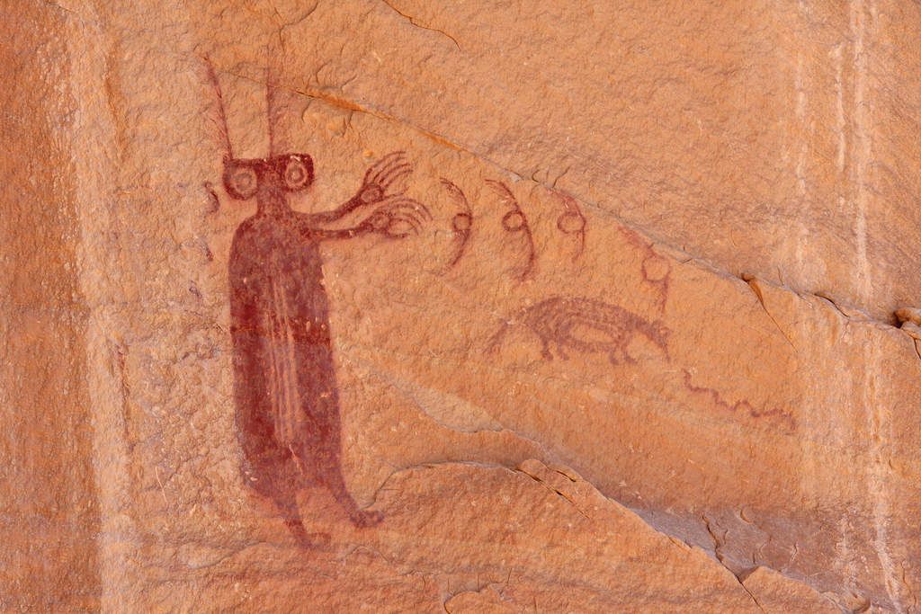 Le culte du serpent et sa diversité - Xenotype, Blog of a Frogist