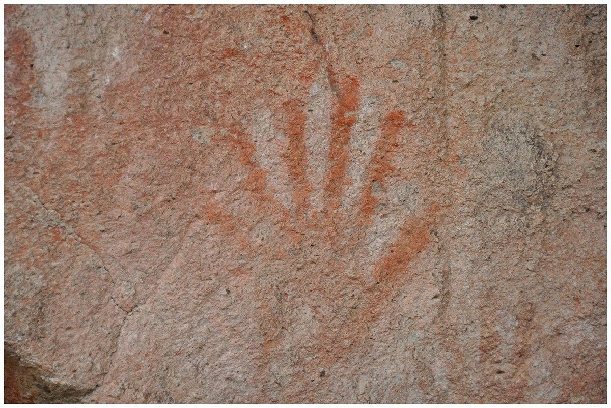 Le culte du serpent et sa diversité - Xenotype, Blog of a Frogist