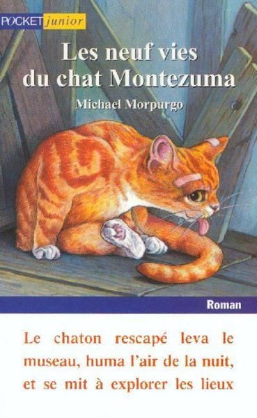 Les neuf vies du chat Montezuma - Moi, serial-lectrice