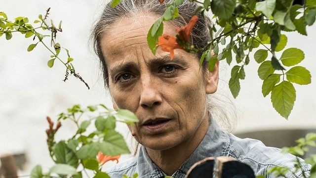 L'intrusa - (Leonardo Di Costanzo, 2017) - Recensione - Con Raffaella ...