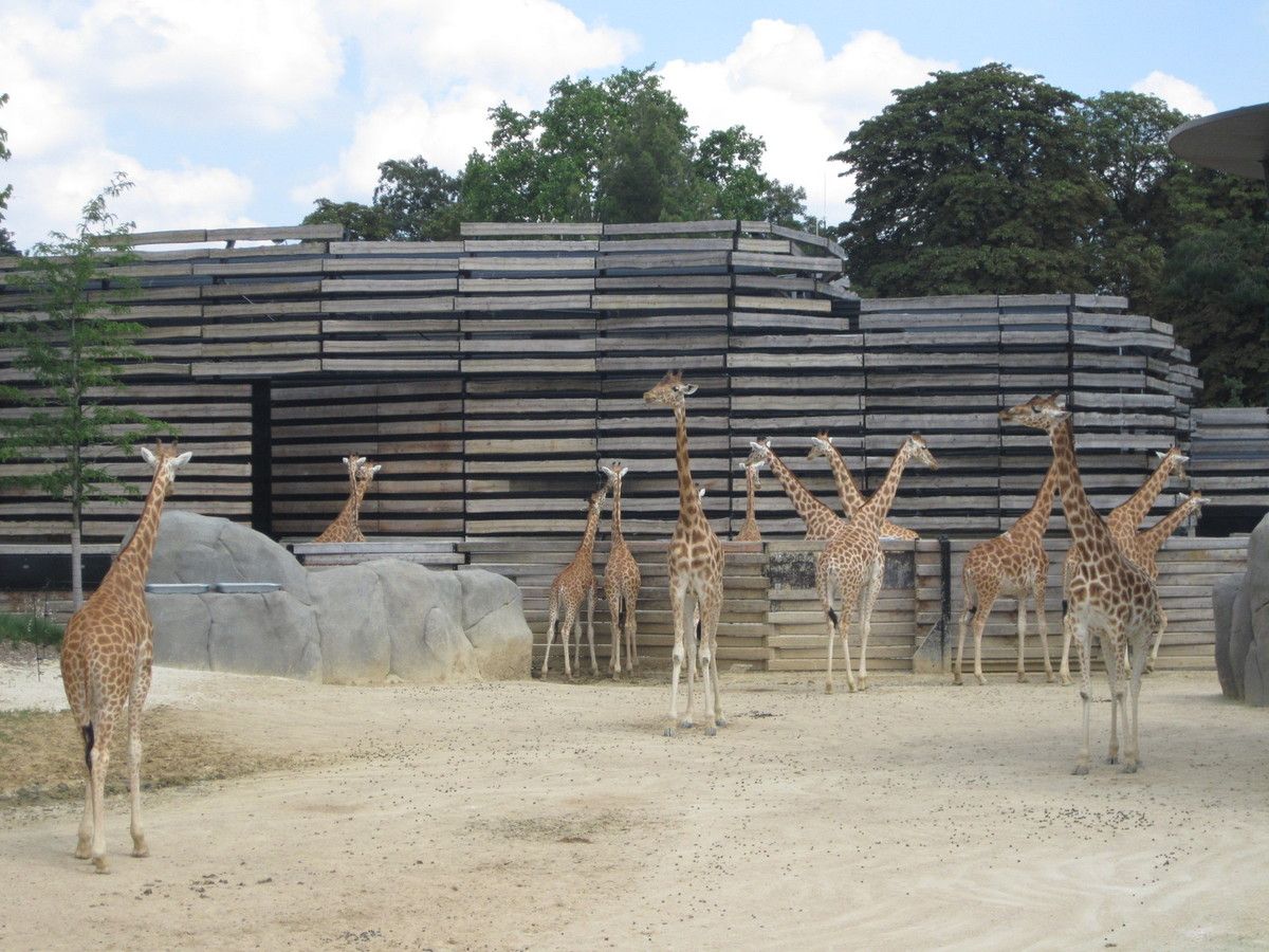 Une journée au zoo de Vincennes - Les Paris d'Emma
