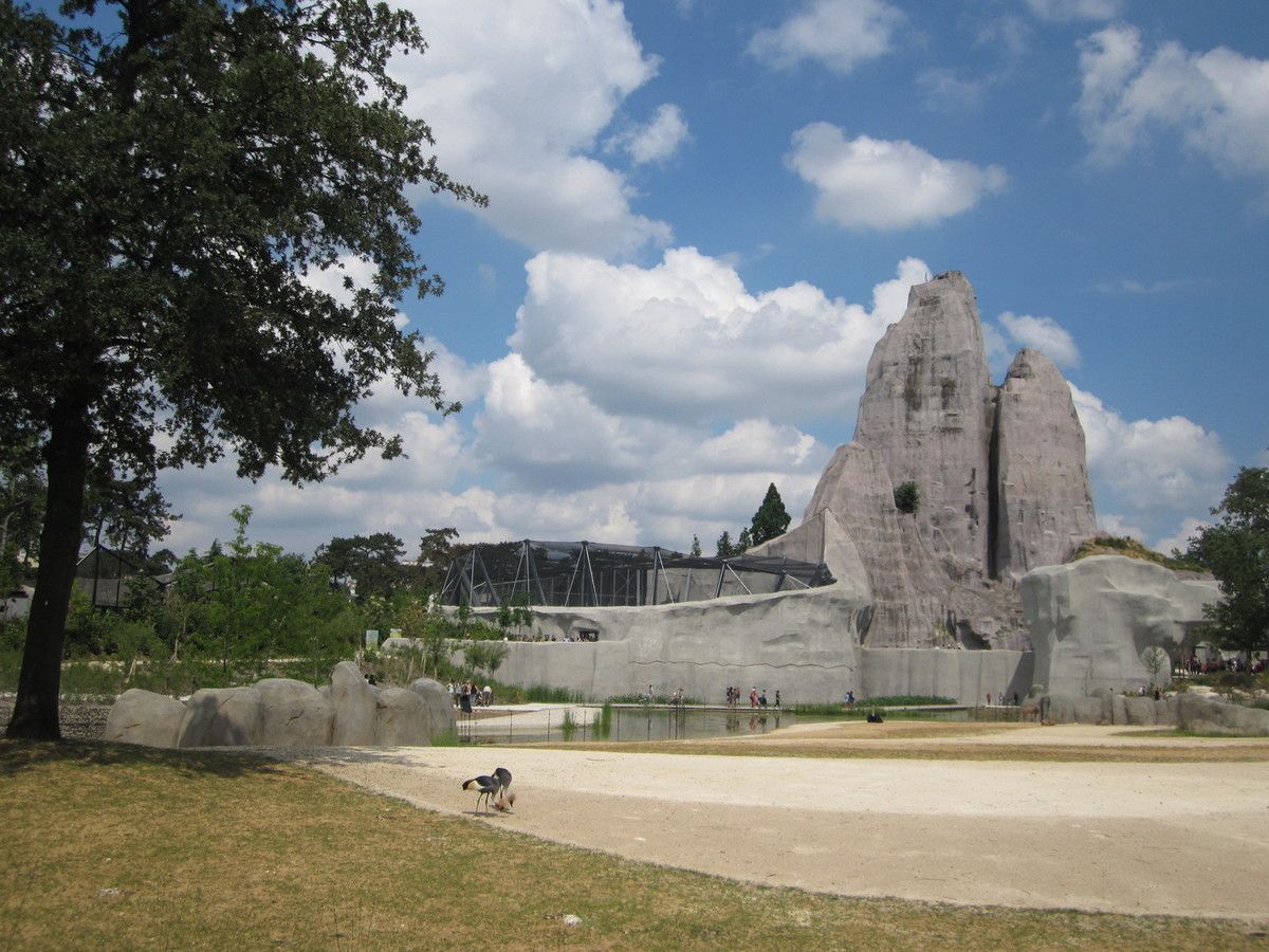 Une journée au zoo de Vincennes - Les Paris d'Emma